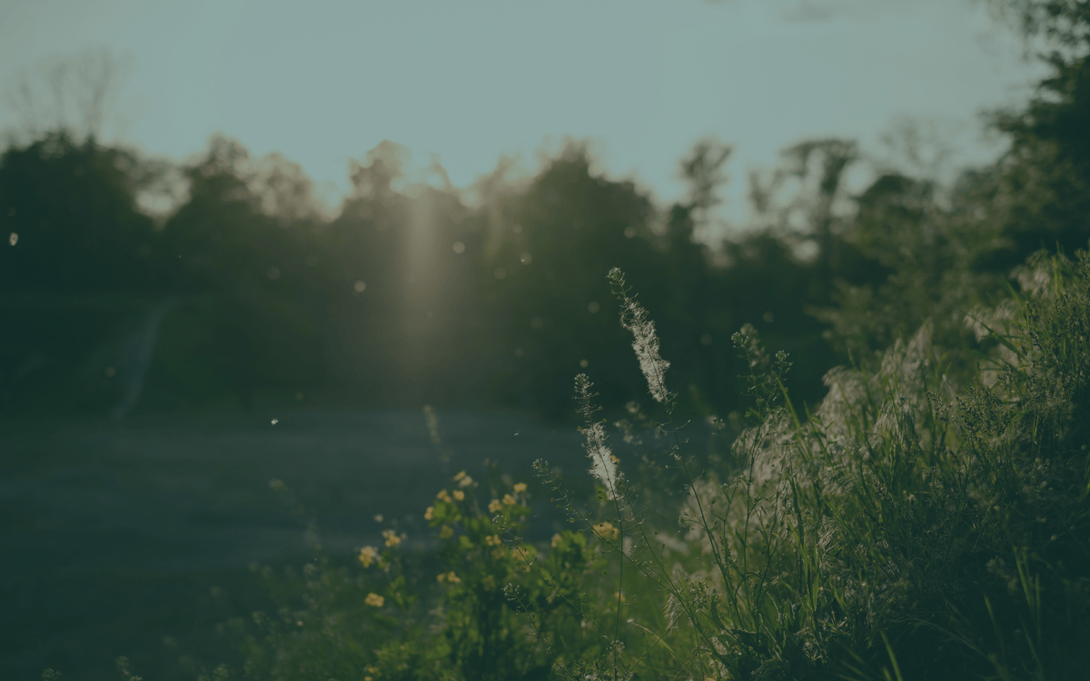 Allergy Testing - Duality Heathcare